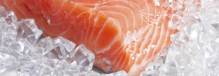Fish Industry Cold Storage from CRS UK