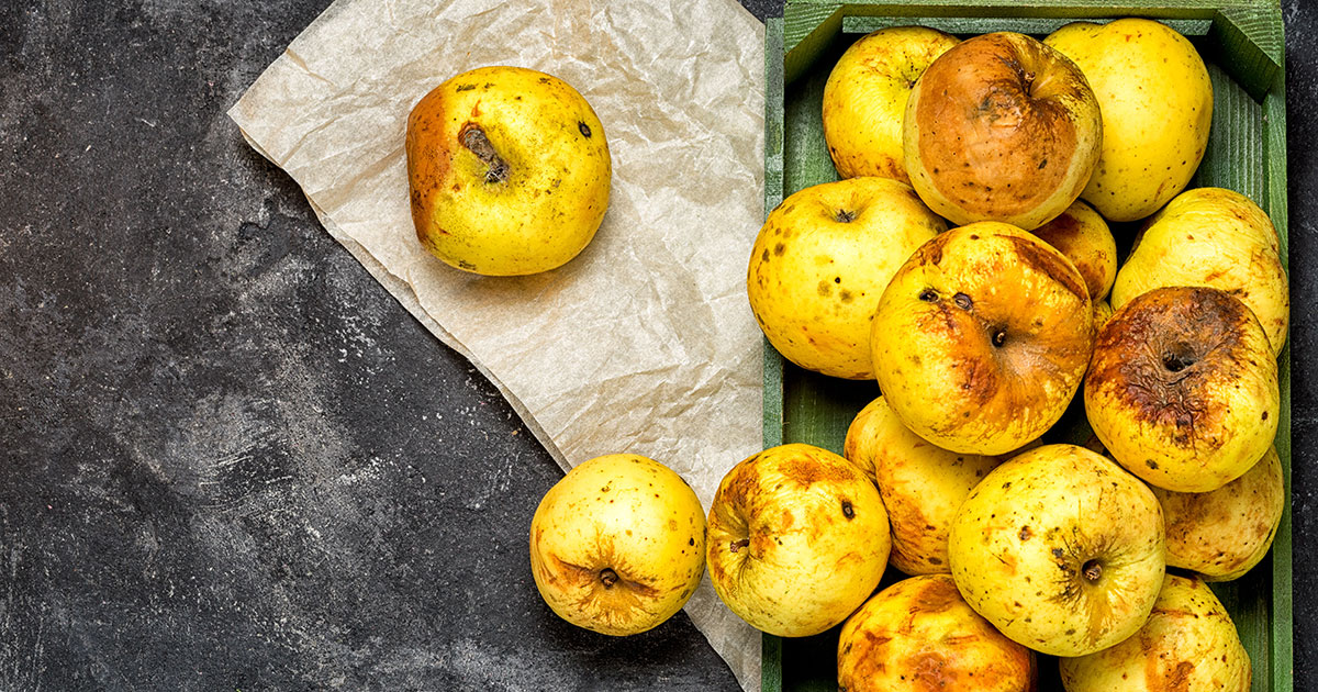 ­How to reduce food waste in Cold Storage | CRS UK